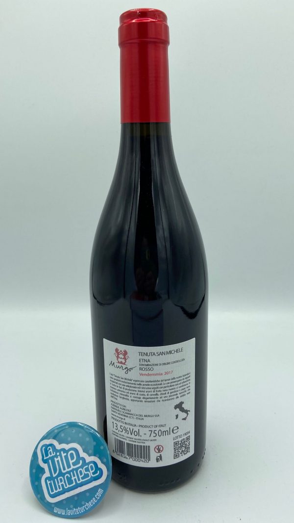 Murgo – Etna Rosso Tenuta San Michele – 2017 - La vite Turchese